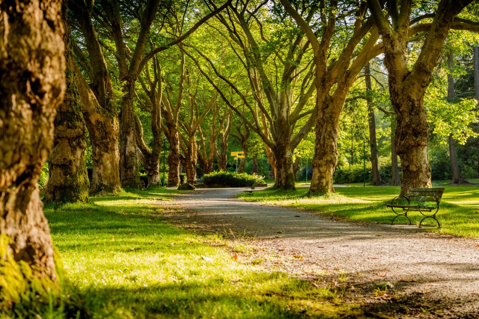 Blue Ash's Summit Park – A Complete and Comprehensive Guide! - Lost In ...